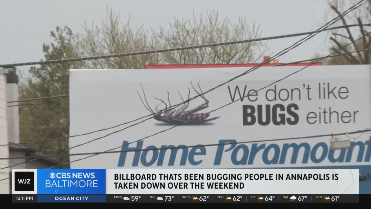 Cockroach billboard removed from Annapolis after residents voice ...