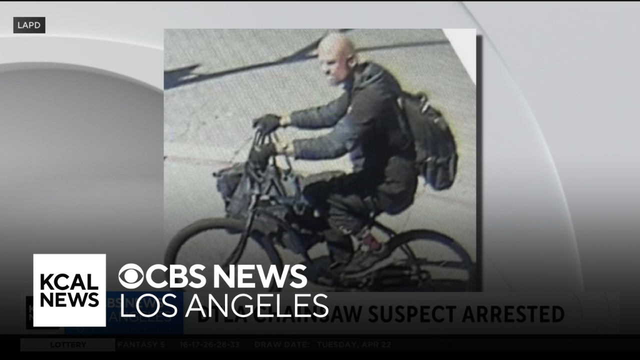 Police arrest man suspected of hacking downtown LA trees with a ...