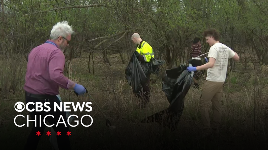 Faculty, staff clean up trash near Triton College outside Chicago for ...