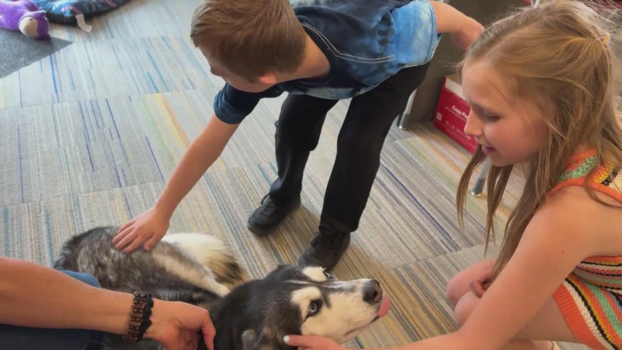 Jeffco Public Schools using dogs to help Colorado students feel calmer ...