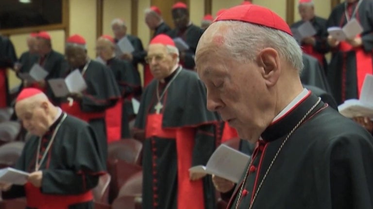 Pope Francis' death sparks betting frenzy over who will be the next ...