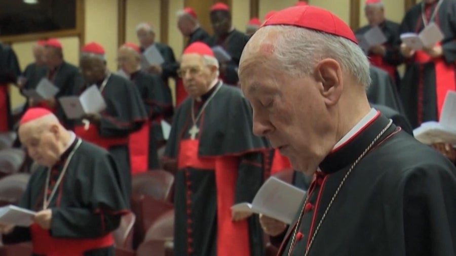 Pope Francis' death sparks betting frenzy over who will be the next ...