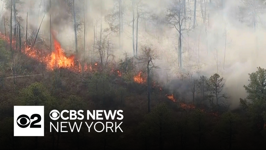 N.J. wildfire arson suspect Joseph Kling remains in custody ahead of ...