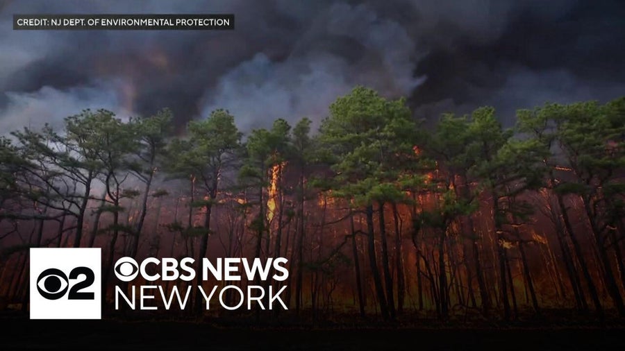 N.J. wildfire arson suspect Joseph Kling appears in court in Ocean ...