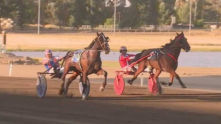 Harness horse racing has final lap at Sacramento's Cal Expo - CBS ...