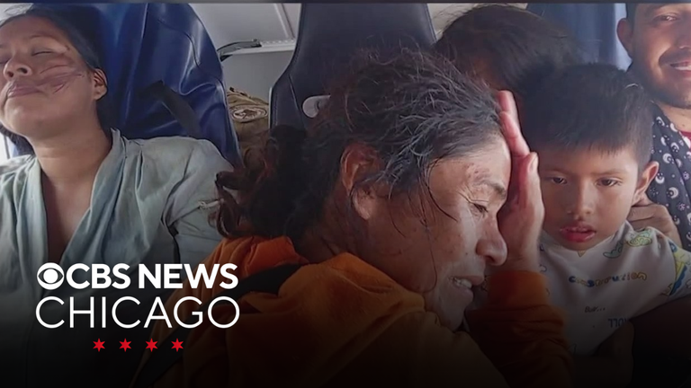 Group in Bolivia survive 36 hours in alligator-infested swamp after ...