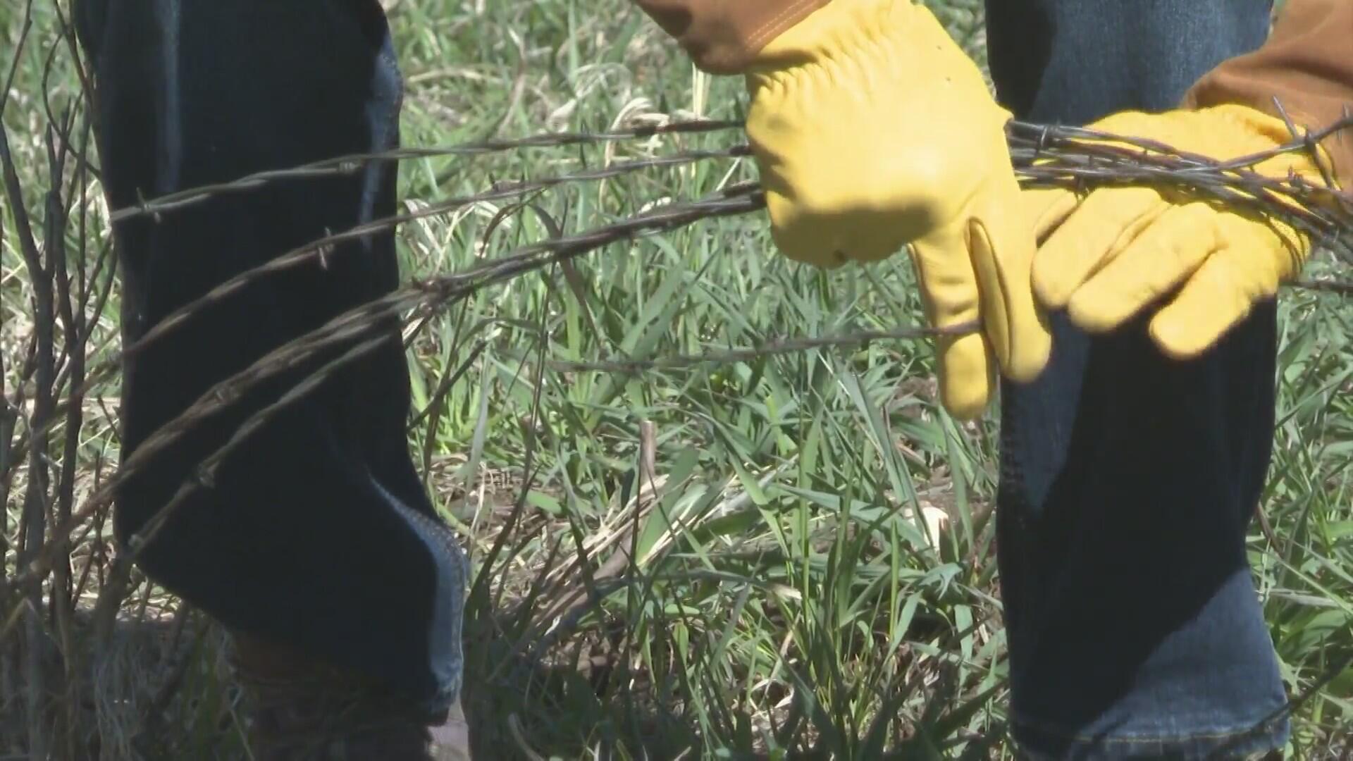 Barbed wire from defunct cattle ranch causing problems in Colorado open ...