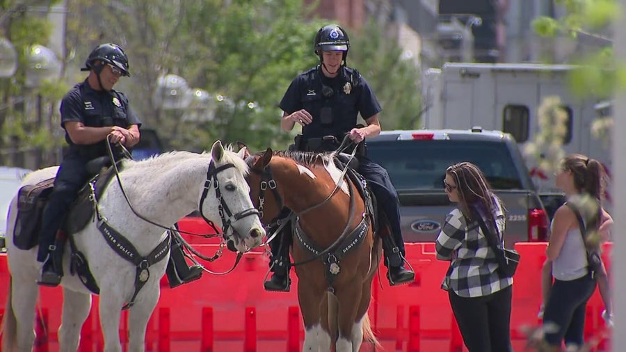 Denver increases police presence downtown with Mounted Patrol - CBS ...