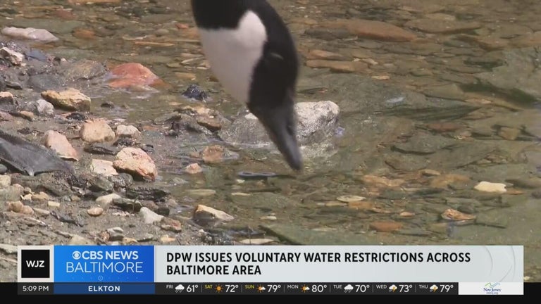 Baltimore-area residents asked to conserve water due to reservoir's 20 ...