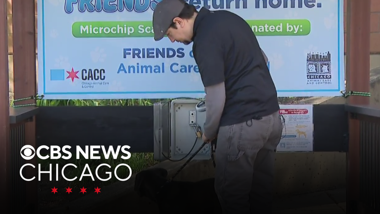 Chicago Animal Care and Control introduces microchip detection device ...