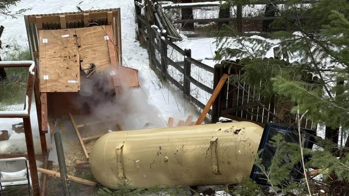 Chickens rescued in Colorado after propane tank destroys chicken coop ...