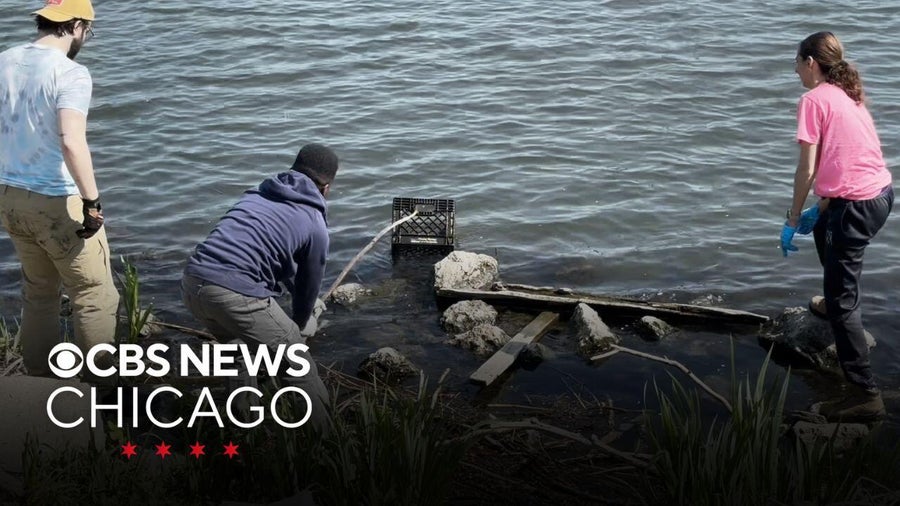 Thousands of volunteers clean up litter along Chicago River for annual ...