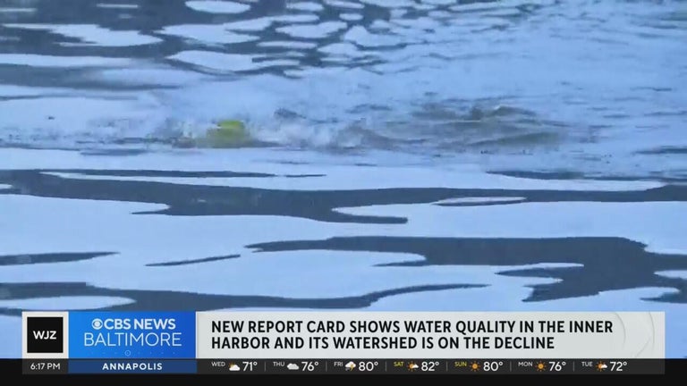 Baltimore waterways show slight decline in health despite years of ...