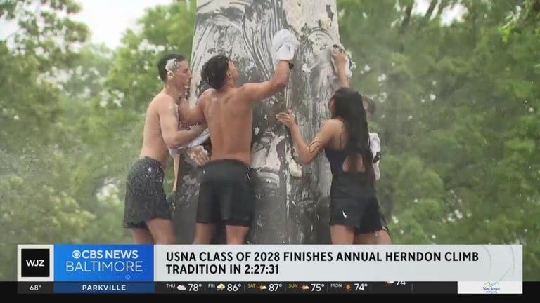 U.S. Naval Academy plebes take on greasy Herndon Monument Climb tradition - CBS Baltimore