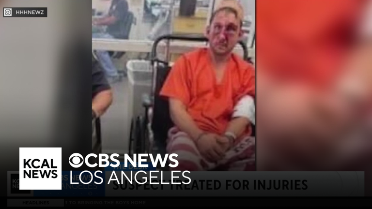 Infamous Southern California Tesla road rage driver assaulted by ...