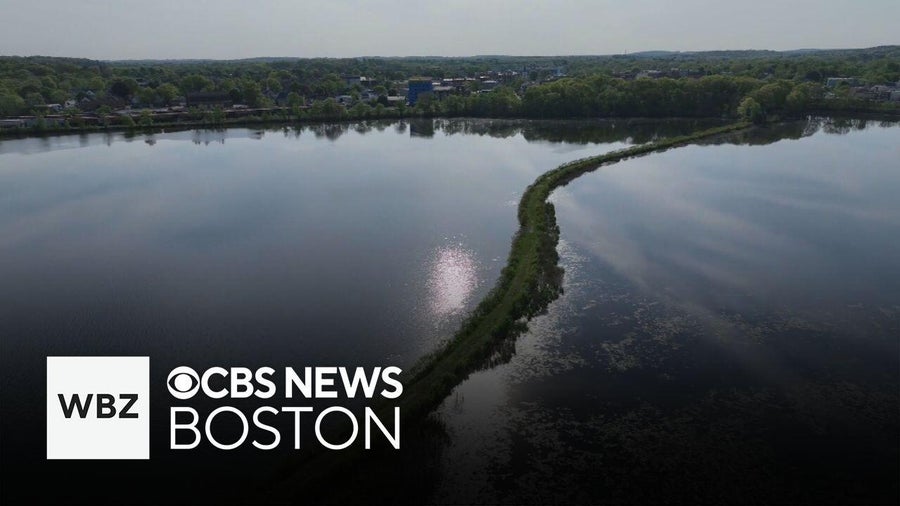 There's a huge pond in Massachusetts where you can walk right through ...