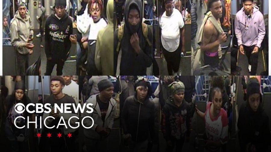 Chicago police seek group who beat, robbed couple on Red Line train ...