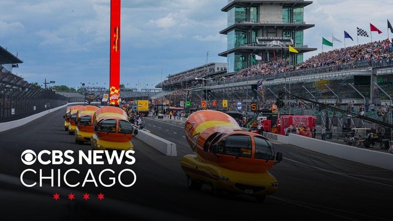 Hot diggity dog! Wienermobiles put on riveting race in Wienie 500 at ...