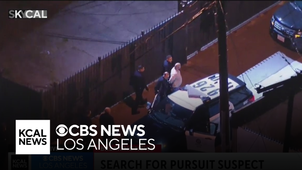 Pursuit suspect arrested after fleeing into Lake Balboa bar - CBS Los ...