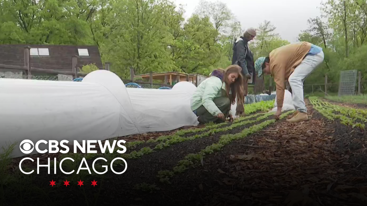 Long Grove, Illinois farm Institute of Soil & Soul applies Jewish ...