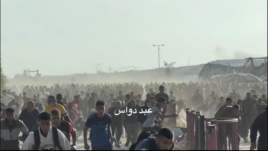 Climate activist Greta Thunberg and "Game of Thrones" actor Liam ...