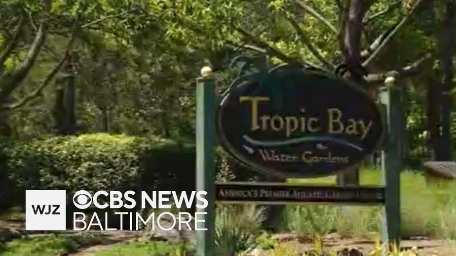 2 arrested after remains of Maryland business owner found in burned ...