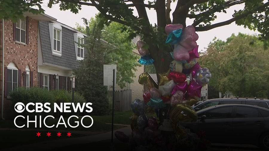 Streamwood stabbing suspect Jalonie Jenkins arrested in Downers Grove ...