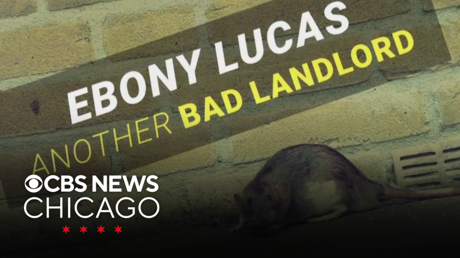 Former opponent wins defamation suit against Chicago Ald. Lamont ...