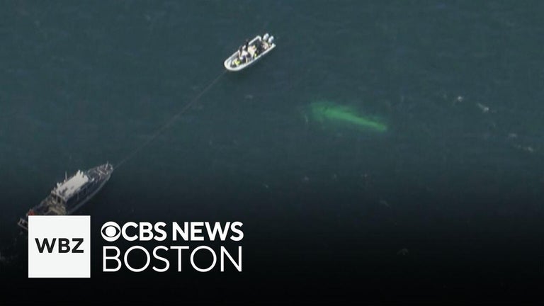 Missing fishing boat found underwater off Cape Cod, 2 bodies recovered ...
