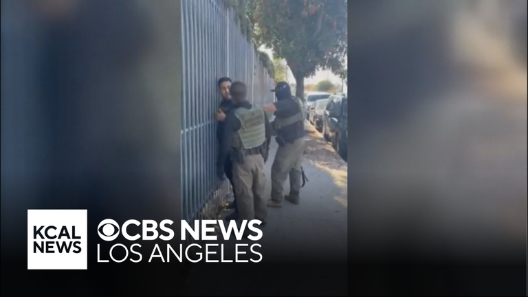 Montebello man shouts "I am American" while immigration agents detain ...