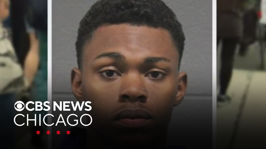 Matteson man charged with impersonating police officer during ICE ...