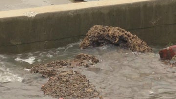 South Strabane residents cleaning up after sudden, severe round of ...