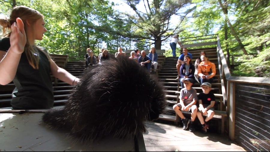 New Hampshire science center teaching through live exhibits, cruises ...