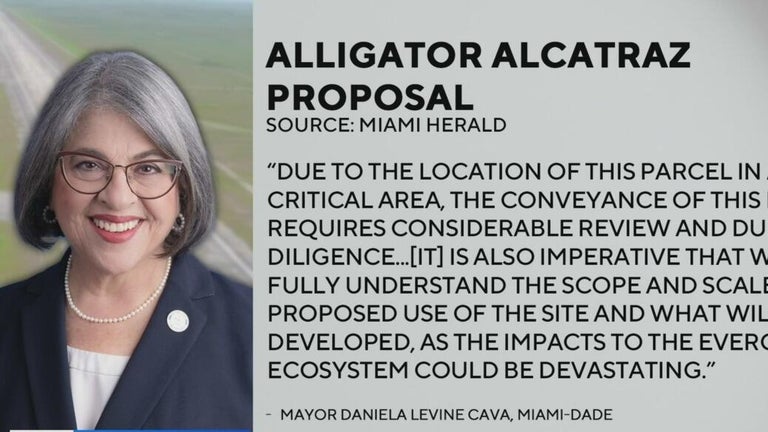 Miami-Dade mayor slams Florida's "Alligator Alcatraz" immigration ...