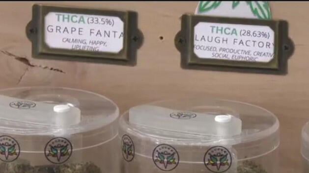 Texas THC ban fails to advance in 2nd special session - CBS Texas