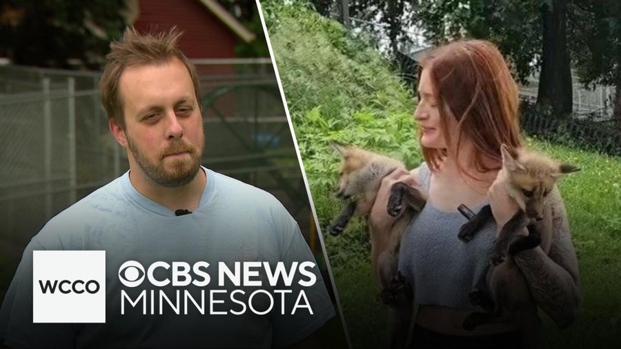 Mikayla Raines, founder of Minnesota's Save A Fox rescue, dies at 29 ...