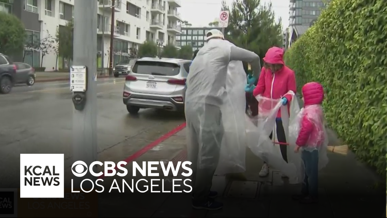 Los Angeles volunteers look to clean up, rehab the image of downtown ...