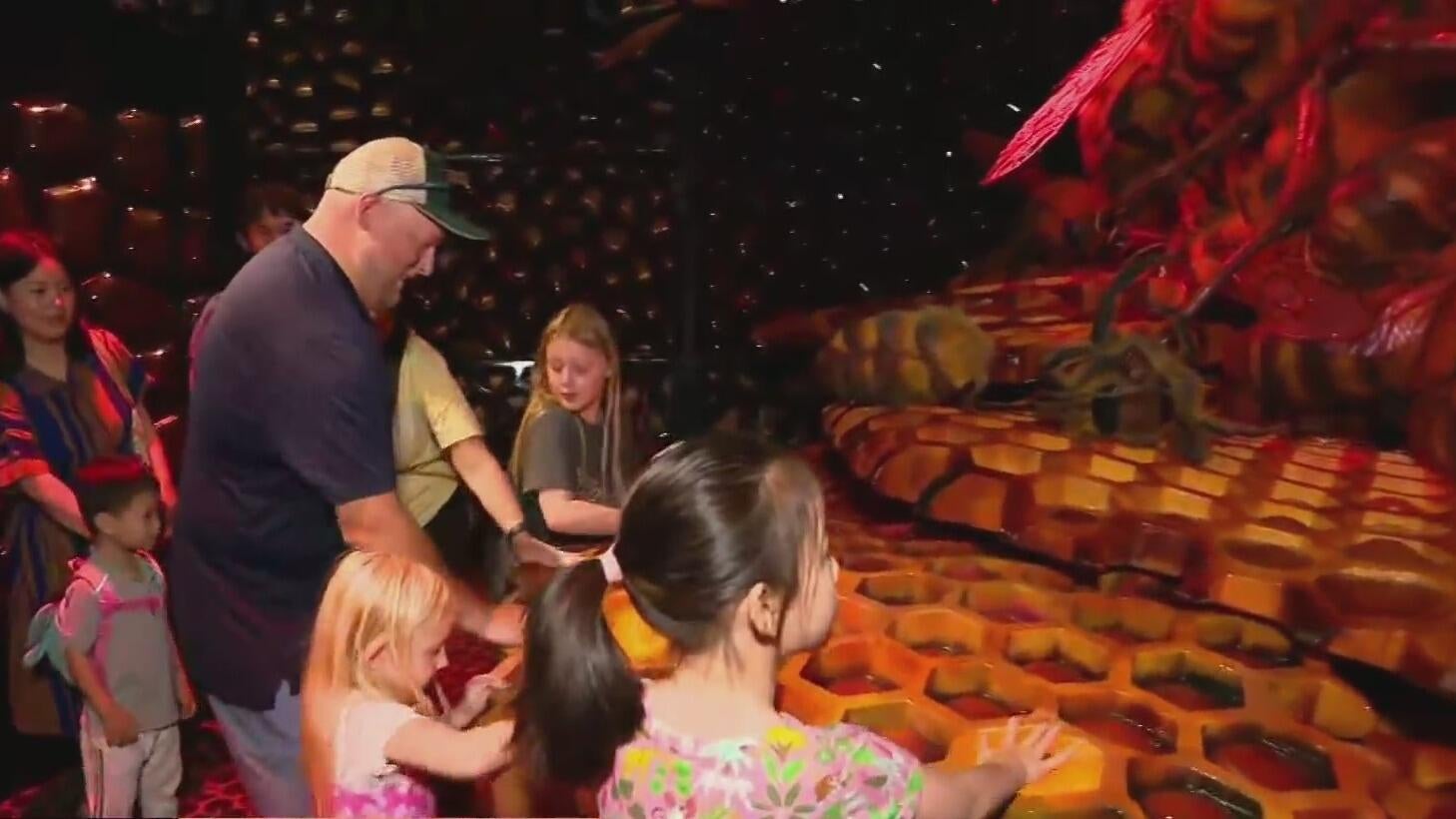 Perot Museum in Dallas opens "Bug Lab," a larger-than-life insect exhibit with hands-on ...