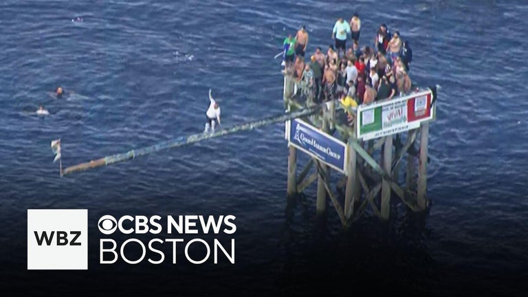 The greasy pole contest at St. Peter's Fiesta in Gloucester starts ...