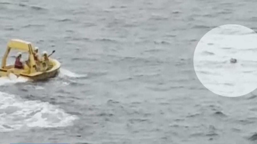 Girl who fell off Disney cruise "was not being held" by father at time ...