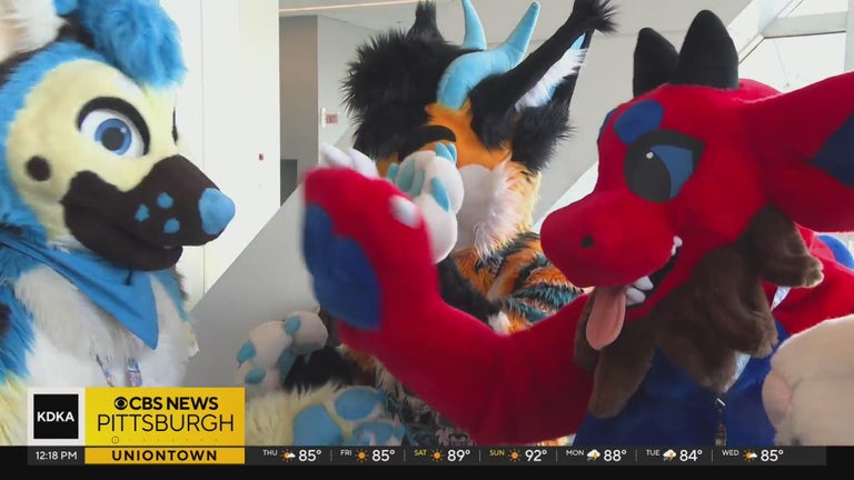 The annual furry convention, Anthrocon 2025, returns to Pittsburgh this ...