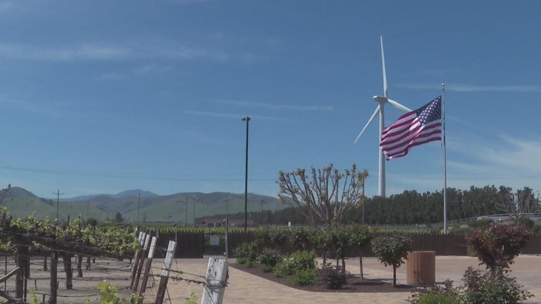California winery harnesses the wind to produce its award-winning wine ...