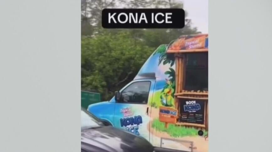 Food trucks respond to viral video showing them entering Alligator ...