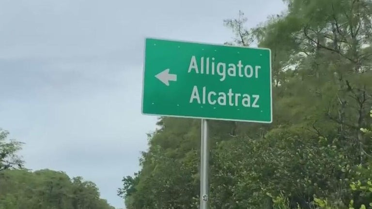 Alligator Alcatraz immigration detention site faces possible court ...