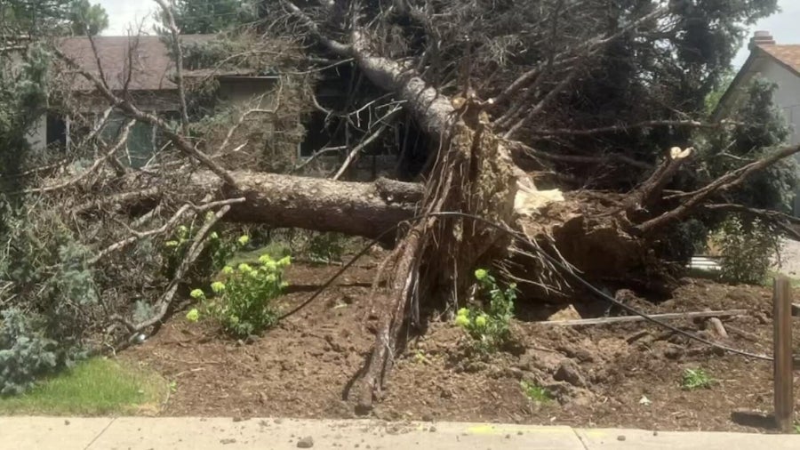 Sunny Monday with chance of severe storms for Denver metro area and ...