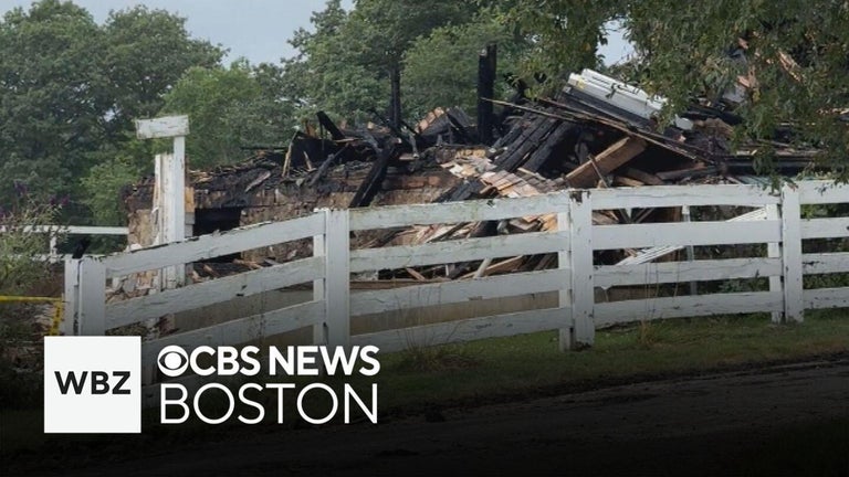 8 horses at Mor Linn Farm in Walpole killed in fire that may have been ...