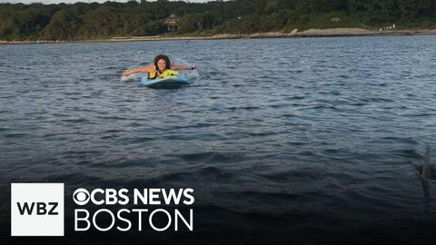 Map shows where great white sharks have been reported off Cape Cod this ...