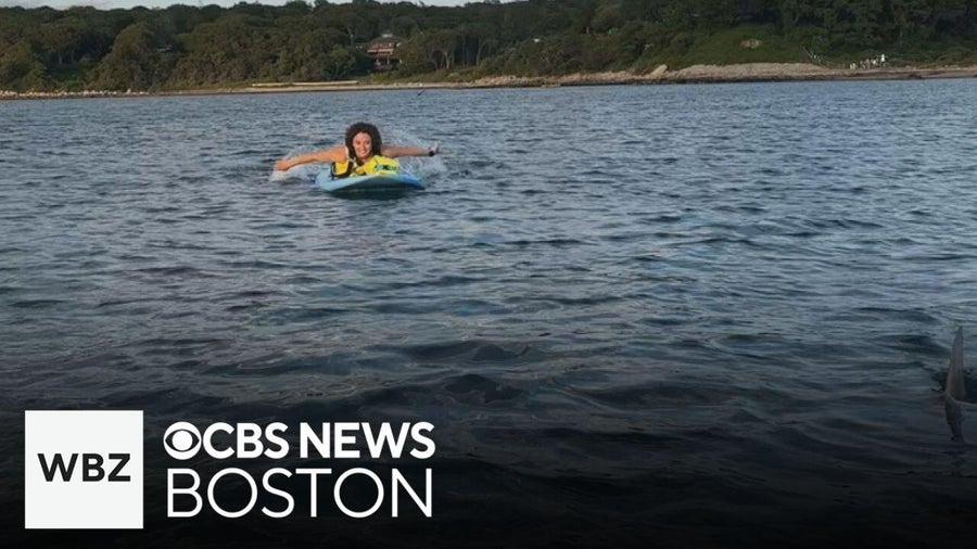 Great white shark surprises paddleboarders in photo off Cape Cod: "We've got to get out of here ...
