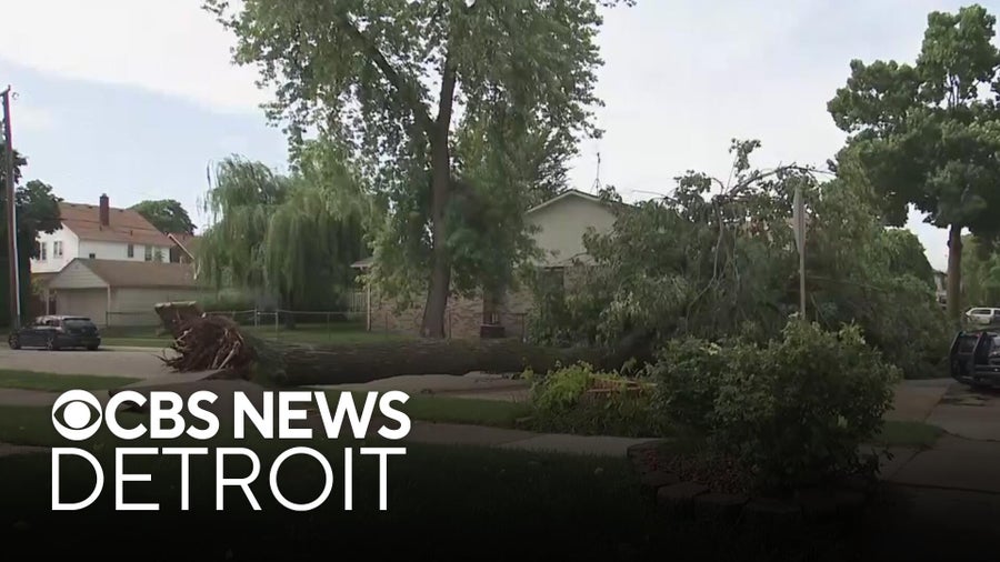 Power outages reported, trees down as storms roll through Southeast ...