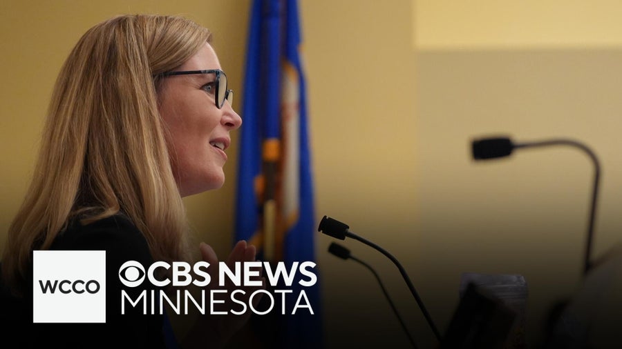 Central Minnesota authorities seek help finding runaway teen Alexavier ...